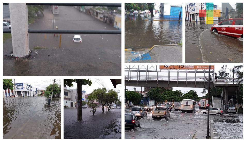 Zona Norte Y Centro Del Municipio De Veracruz Inundadas Por Lluvia