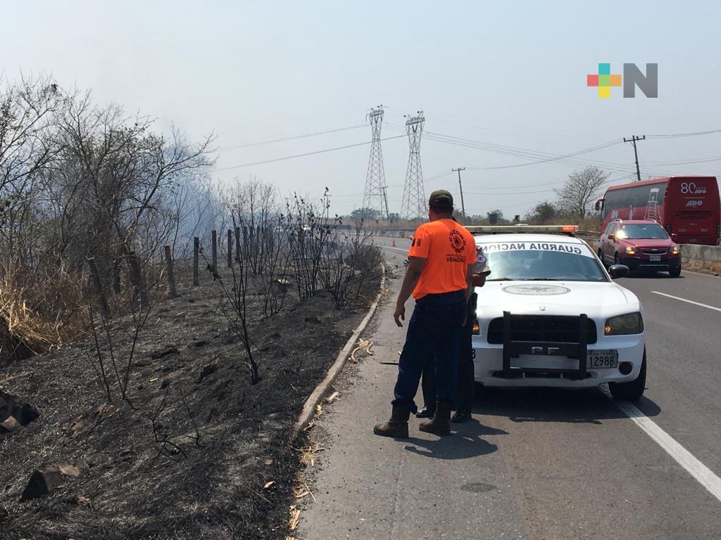 PC atendió incendio de pastizal en Puente Nacional | MÁSNOTICIAS PC atendió incendio de pastizal en Puente Nacional | MÁSNOTICIAS