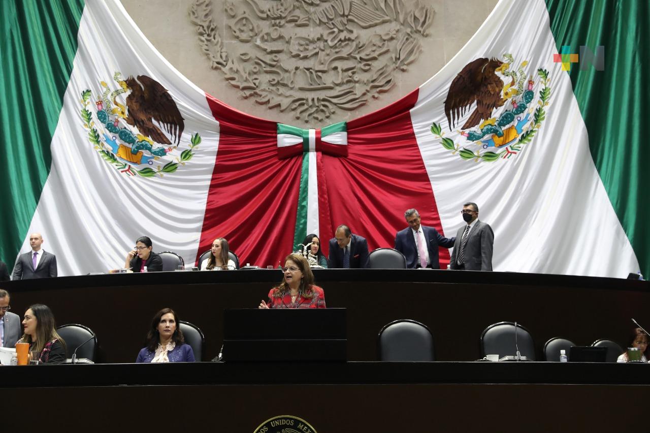 Cámara De Diputados Aprobó Reformas A Ley Del Imss Para Incorporar A