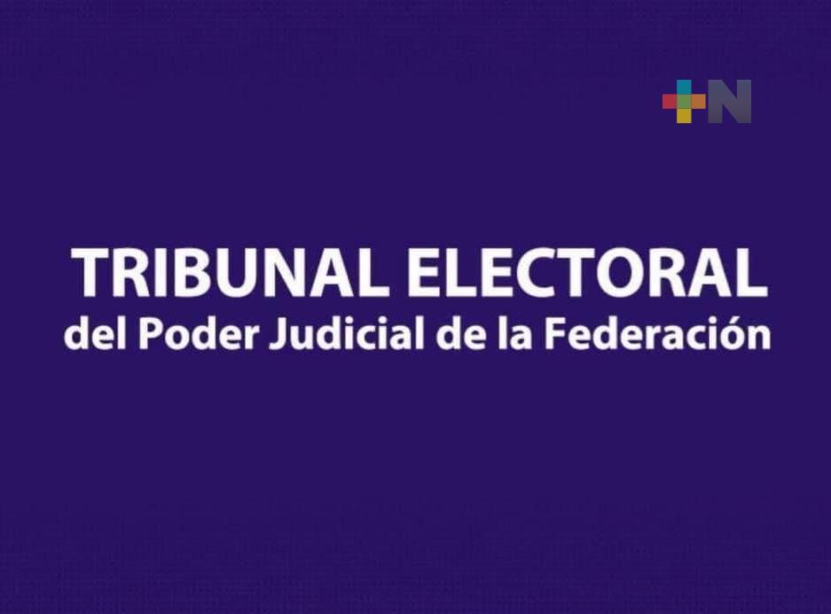 Tepjf Le Ordenó Al Ine Emitir Lineamientos Para Regular Procesos Del