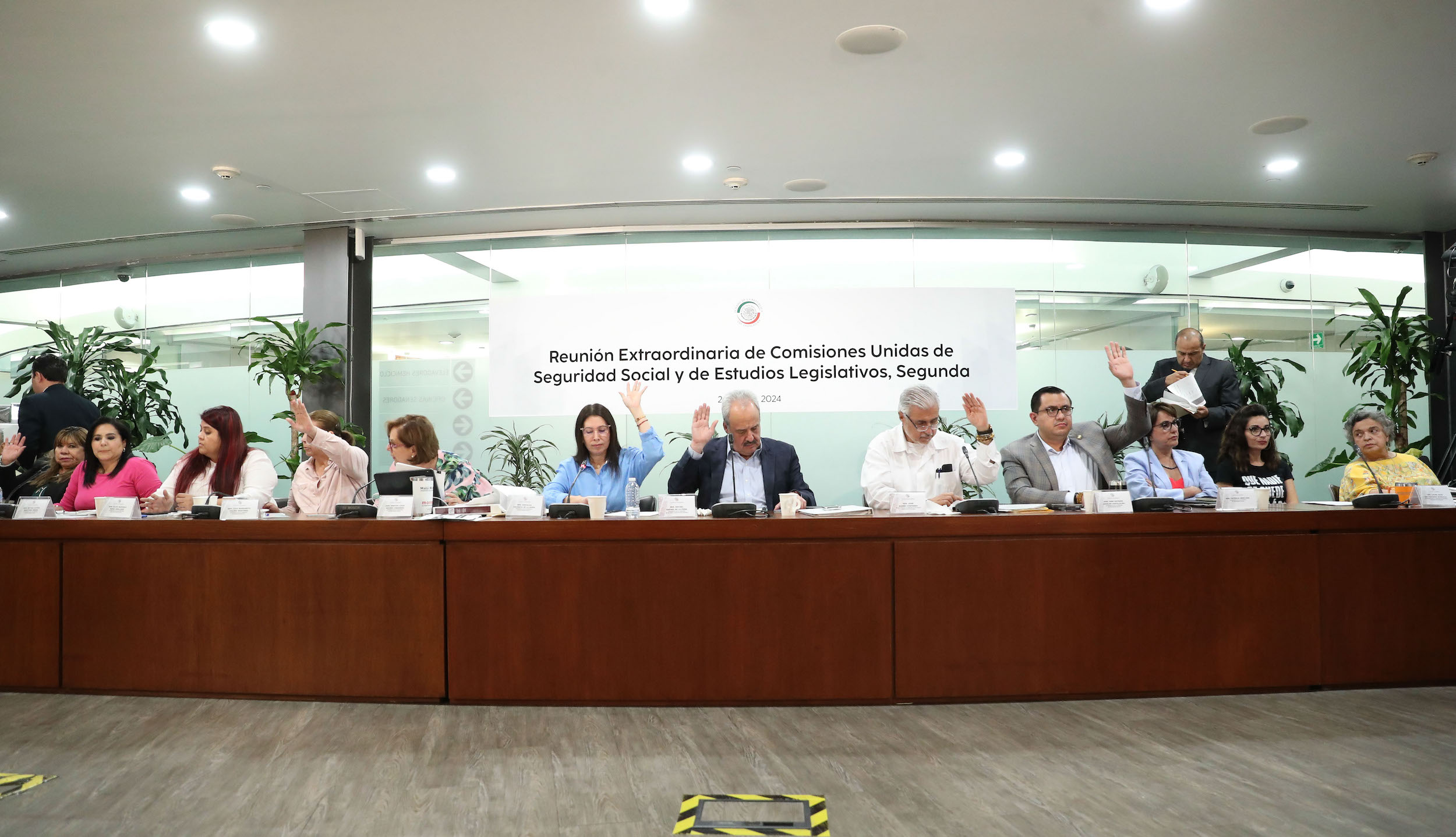 Avanza En Comisiones Del Senado Proyecto Para Crear Fondo De Pensiones