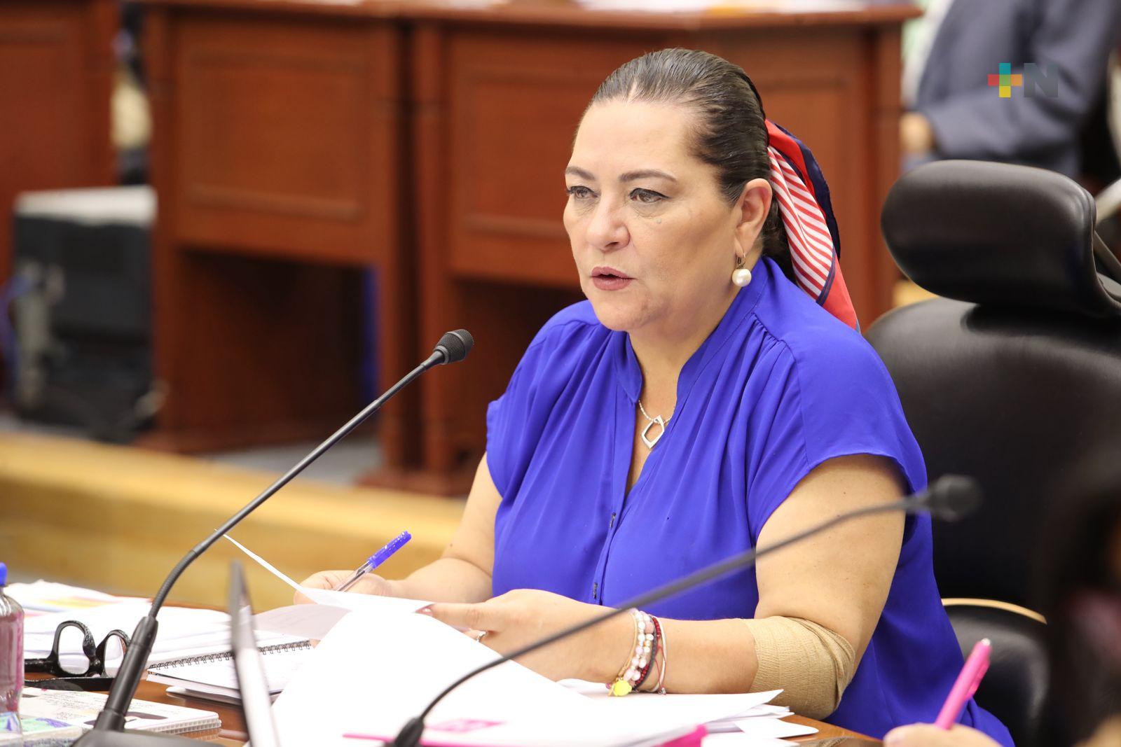 Consejo General Del Ine Declara Validez Y Definitividad Del Padrón Y